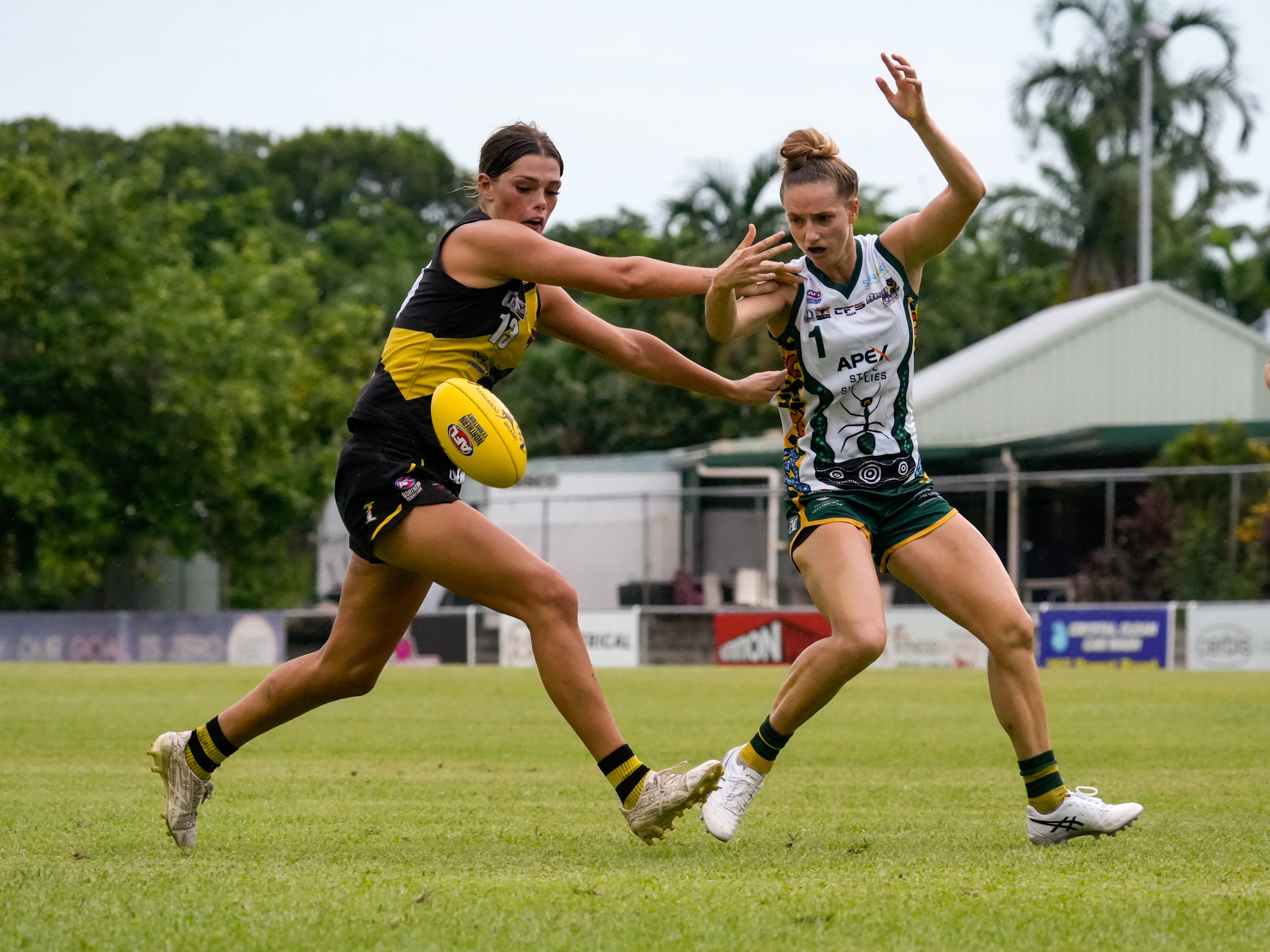 Finals Week Three Preview | 2024/25 TIO NTFL Women’s Premier League ...